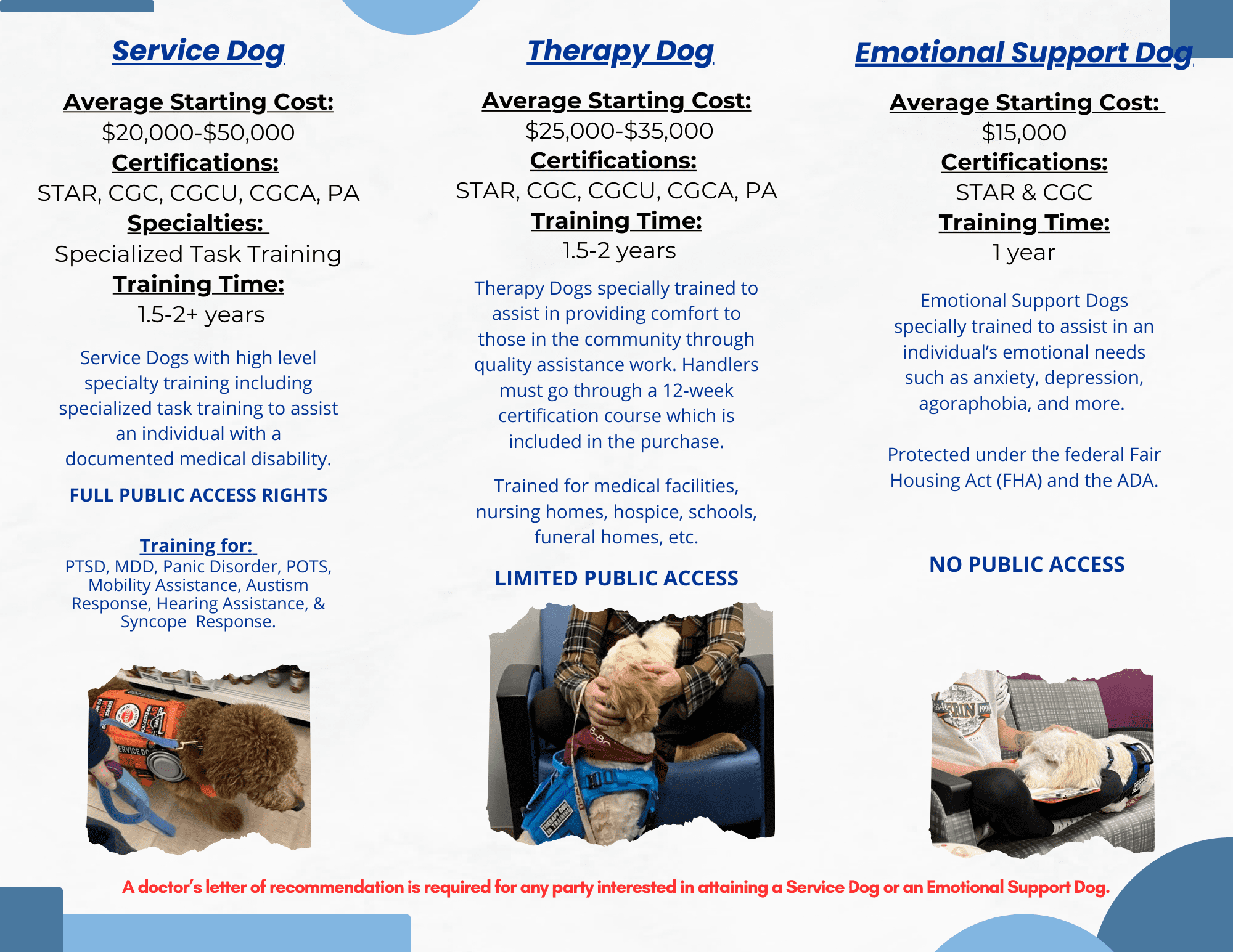 Dawgs At Work - Working Dogs | Dawgs In Motion