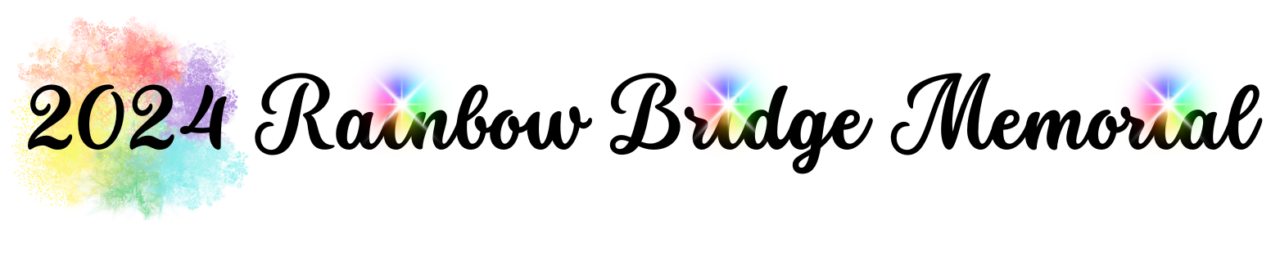 Rainbow Bridge | Dawgs In Motion