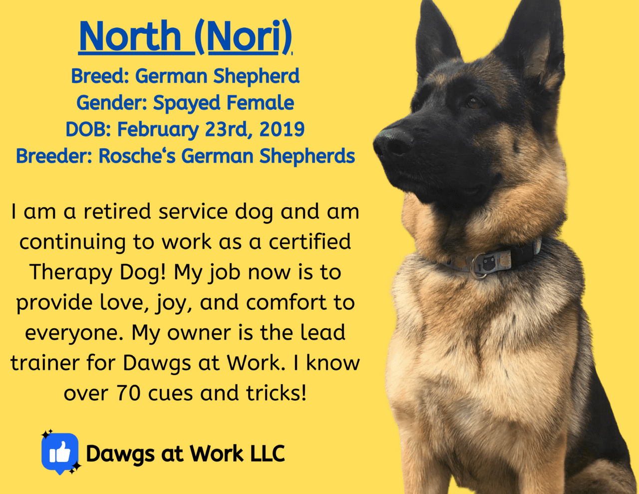 Dawgs At Work - Working Dogs | Dawgs In Motion