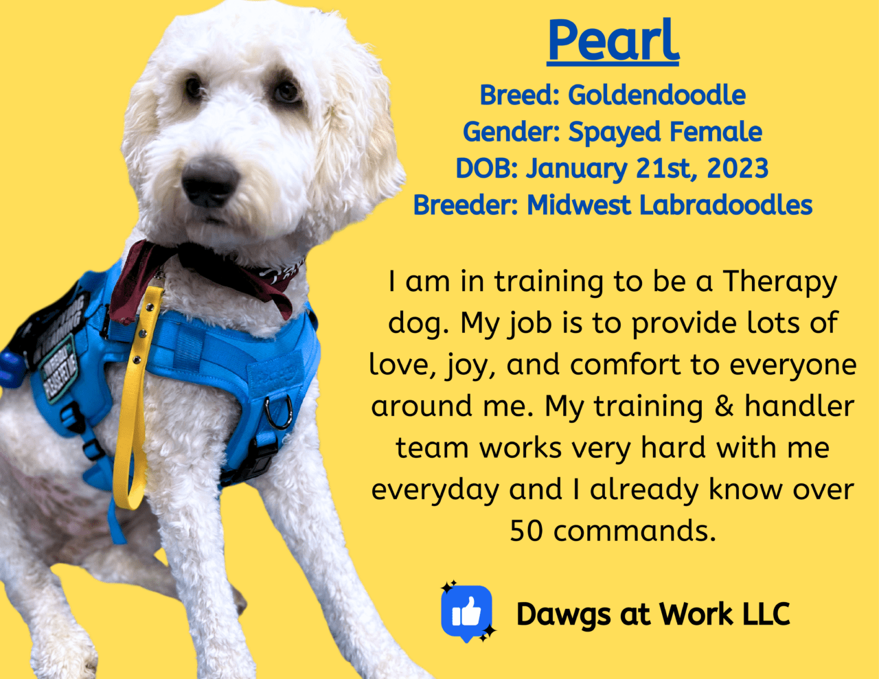 Dawgs At Work - Working Dogs | Dawgs In Motion