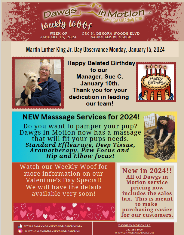 Barking News | Dawgs In Motion